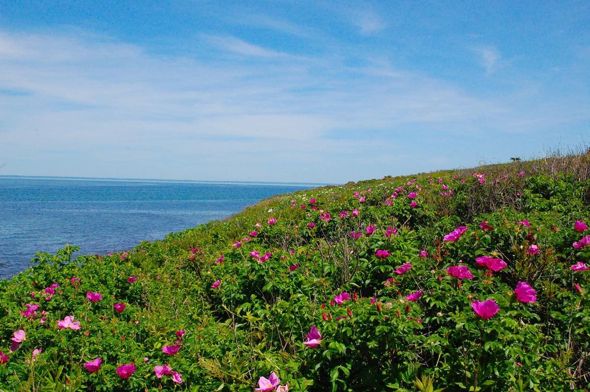 Photo Gallery - Scenic Block Island - Images of Preservation